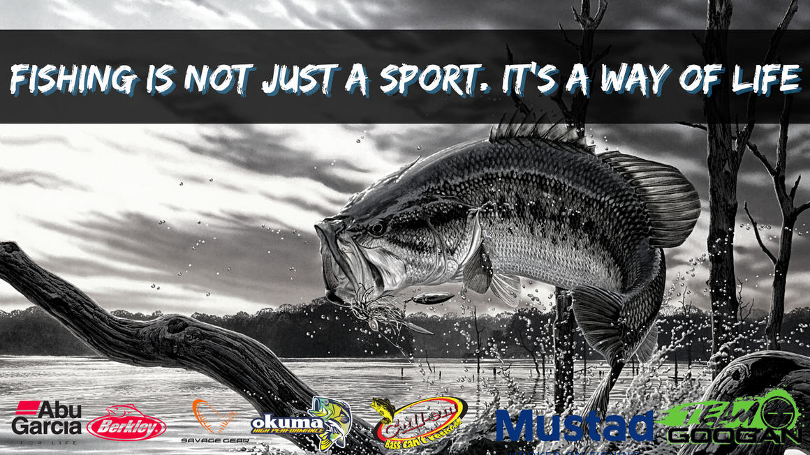 Premium Fresh Water Fishing Tackle Store - Fish On Tackle store– Fish ...