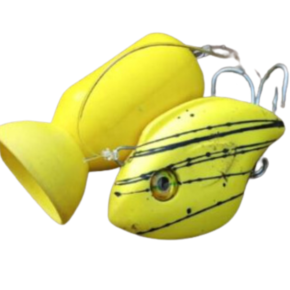 Premium Fresh Water Fishing Tackle Store - Fish On Tackle store– Fish ...