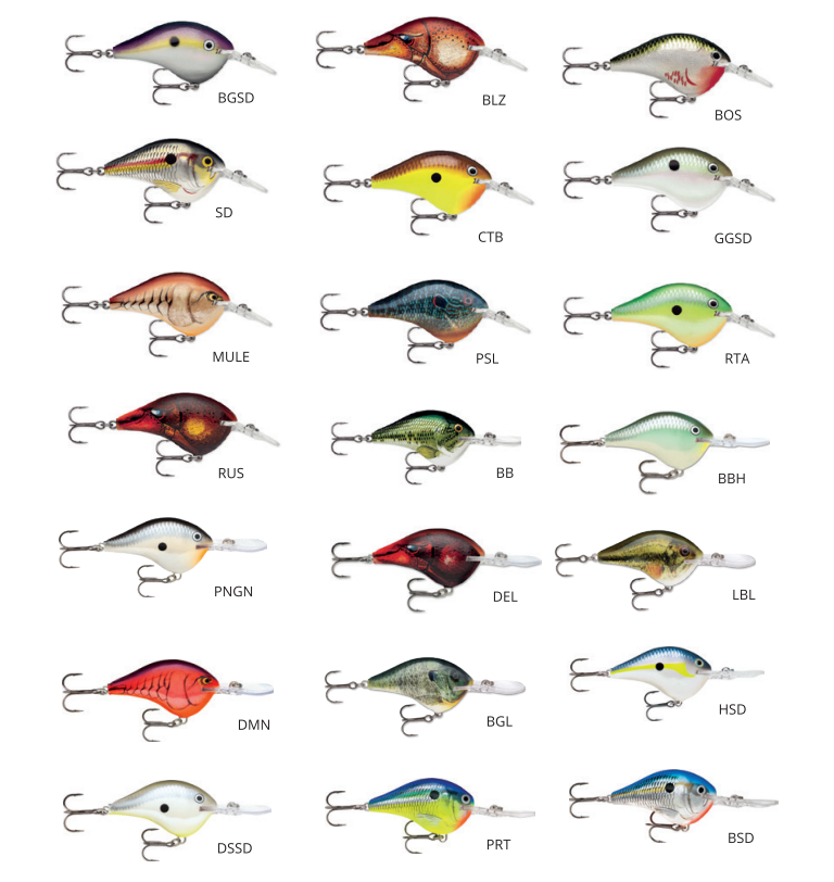 Rapala Dive To Series Crank DT06 Lures | Fish On Tackle Store